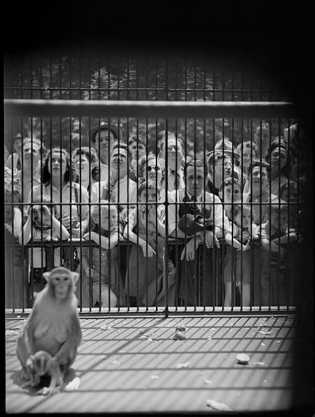 Stanley Kubrick: From 17-Year-Old Photography Prodigy to Master Film ...